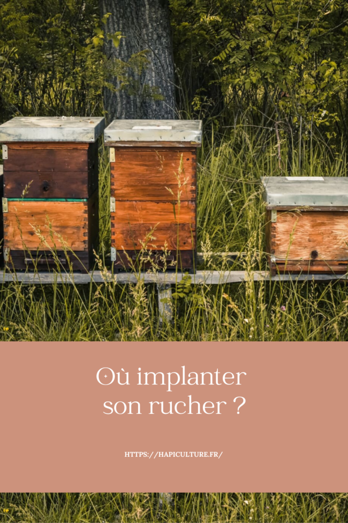 Où implanter son rucher ? - Les abeilles et l apiculture