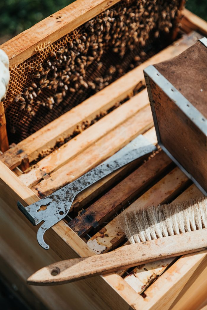 Les divers types et modèles de ruches - Les abeilles et l apiculture